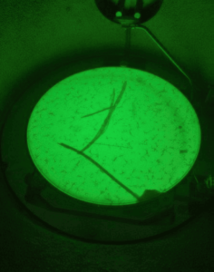 ¿Cómo y cuándo realizar un análisis de amianto?