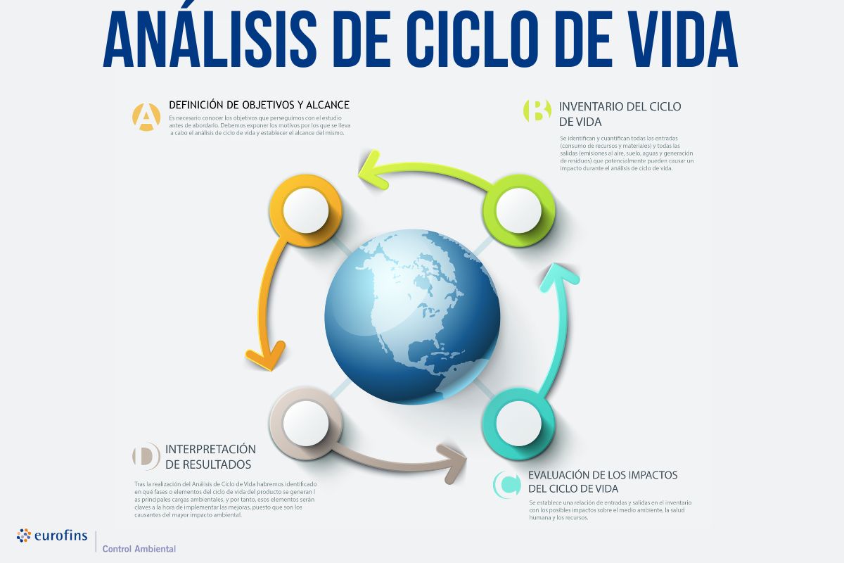 Ejemplo De Analisis E Interpretacion De Resultados De Una Análisis De