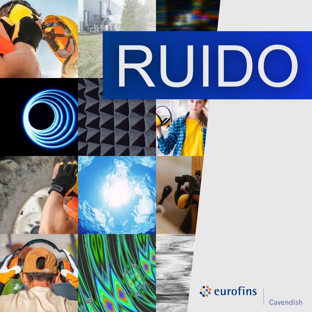 Especialistas en Ruido Ambiental y Marino | Eurofins Environment