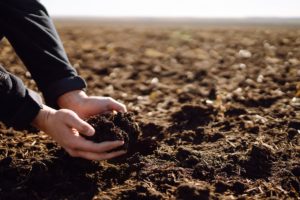 Contaminated soil and groundwater analysis